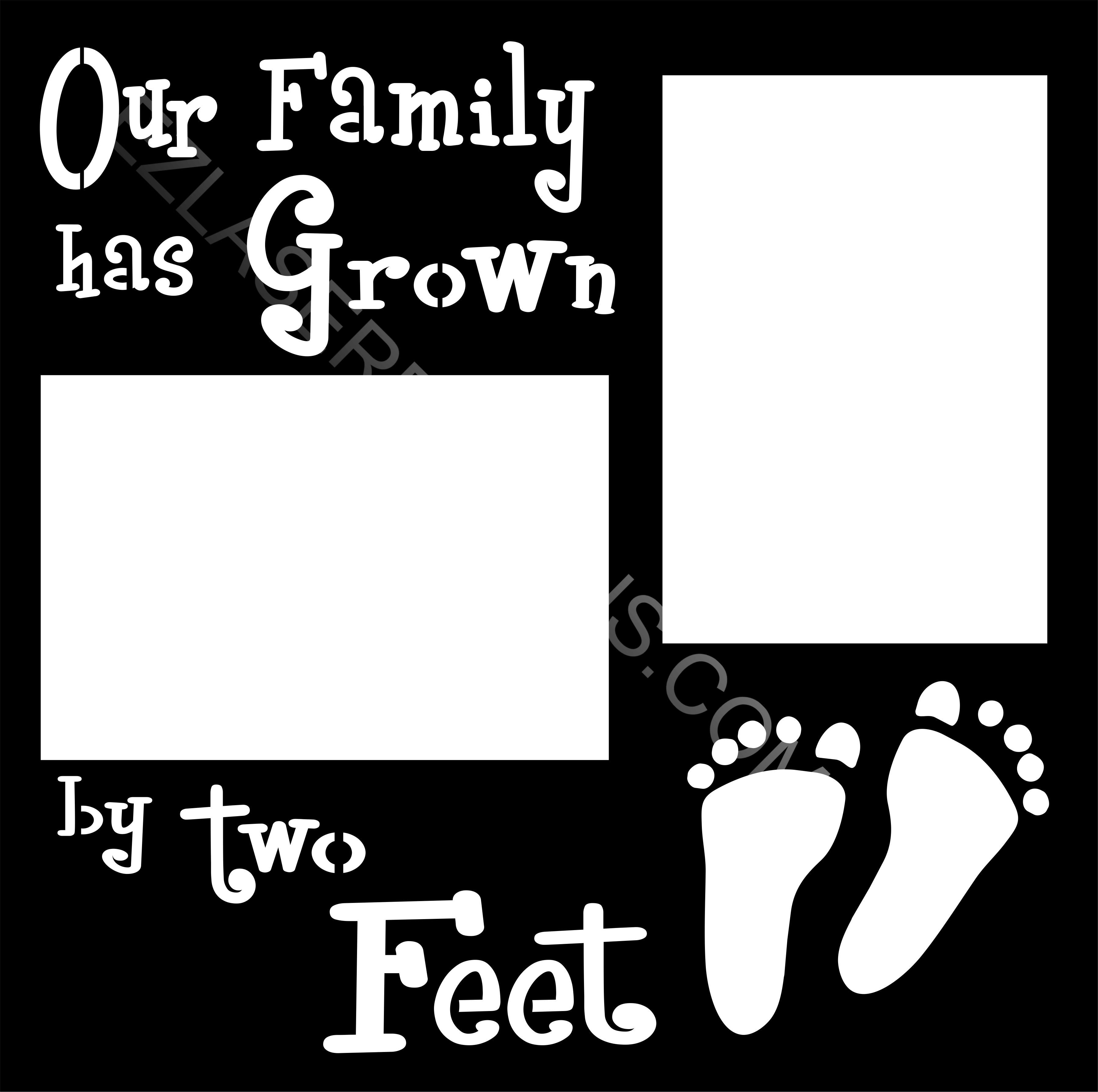 Our Family Has Grown by 2 Feet: EZ Laser Designs